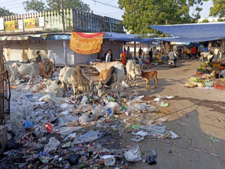 Doubling of garbage on Diwali, 30 tonnes being raised in 55 tonnes of ...