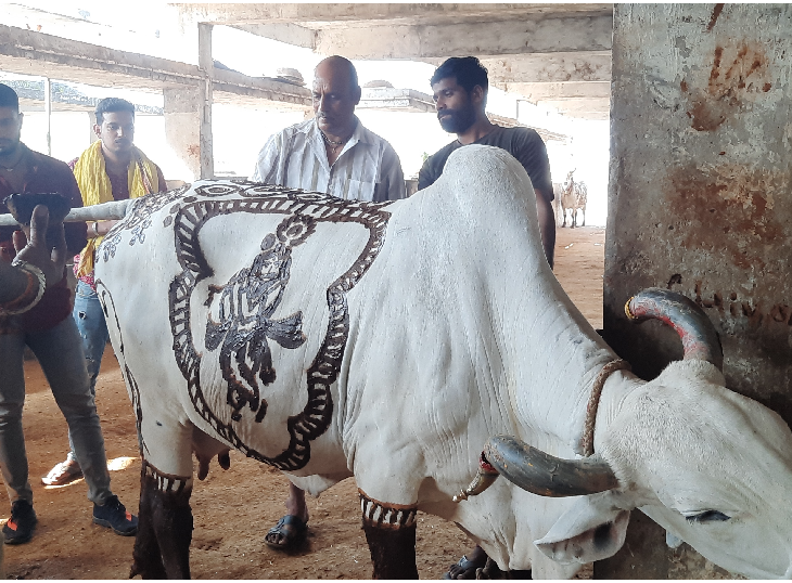 By applying henna to the cow mother, the pictures of child forms were ...