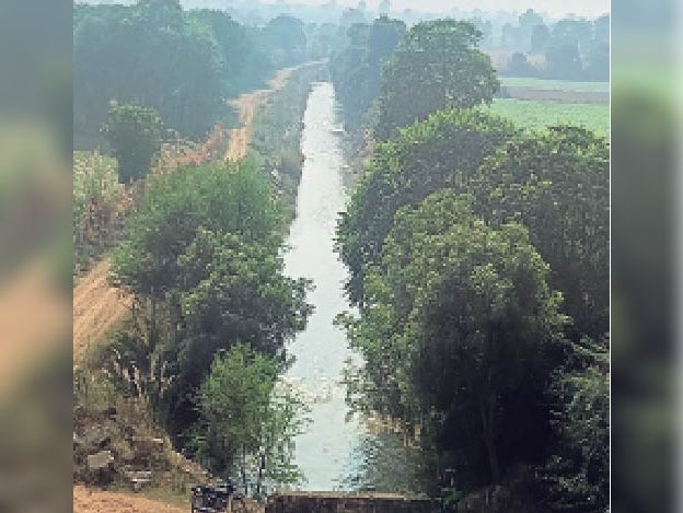 Water opened from Morel dam, crops of 100 villages will get Neer for 50 ...