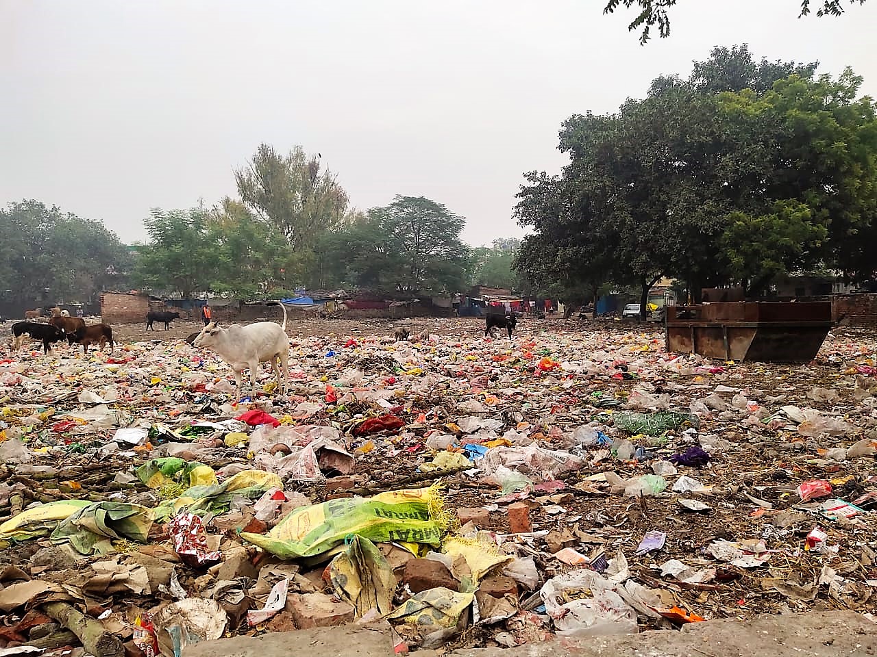 The condition of cleanliness in Kanpur is bad, cleanliness in the main ...