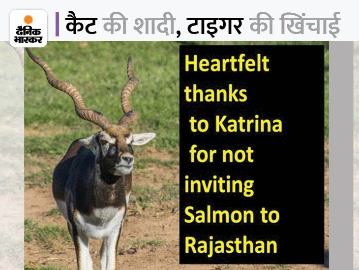 Katrina Kaif Vicky Kaushal Wedding; Salman Khan Memes On Social Media