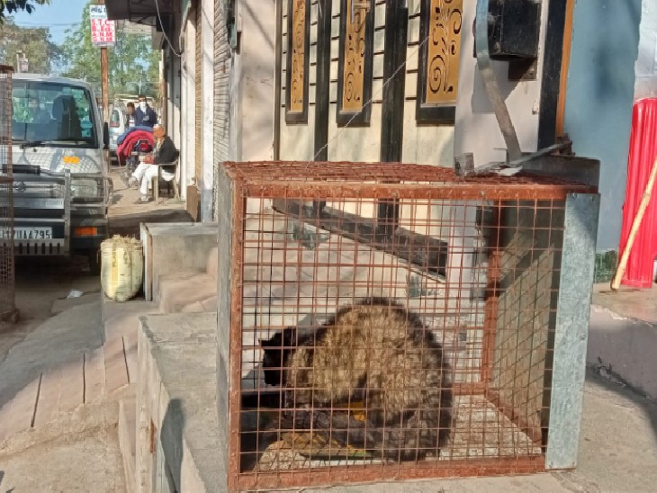 The fear was created due to the wandering of the grave brock during the ...