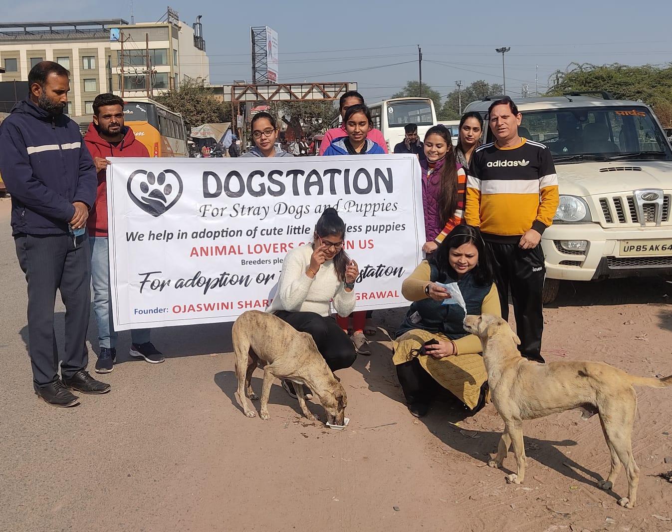Campaign being run to save street animal in mathura is now spreading in ...
