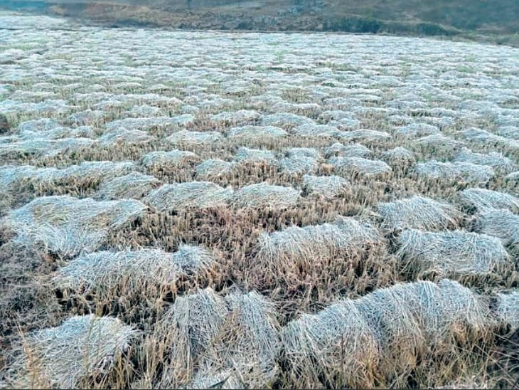 5 degree temperature in the outskirts of Raipur; Cold will increase ...