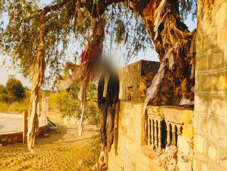 मातासर गांव में मंदिर के पास खेजड़ी के पेड़ पर लटका | Hanging noose ...