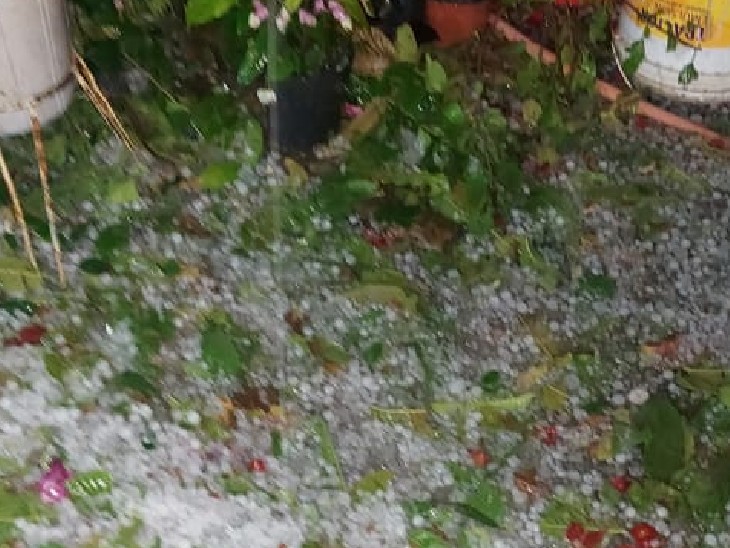Thunderstorms accompanied by rain, gram or lemon-sized hail fell | सागर ...