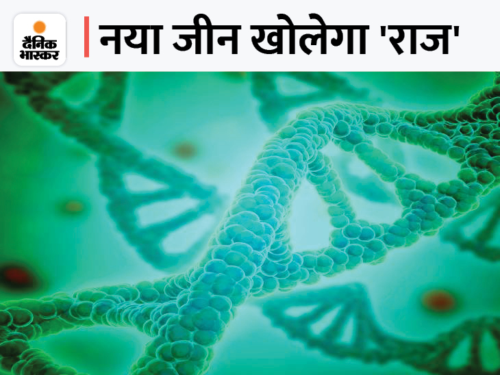 Research on DNA of 23 thousand humans in Varanasi's BHU; Fingerprint ...
