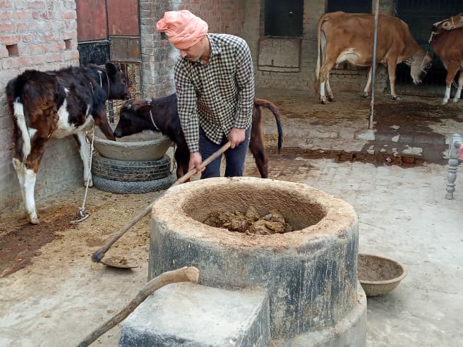 Food being prepared from cow dung gas for three decades, nutritious ...