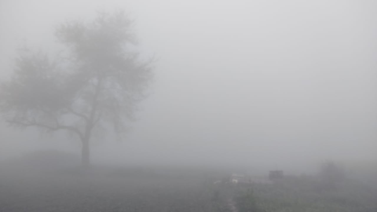 Deep mist, visibility zero, the possibility of rain and hail from ...