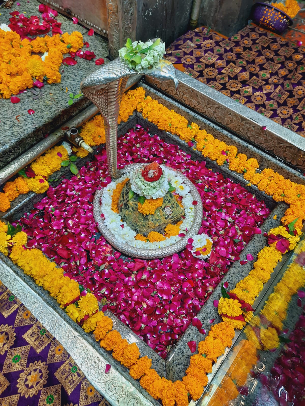 Onkar Maharaj's court decorated with rose flowers; Do... Mangala Aarti ...