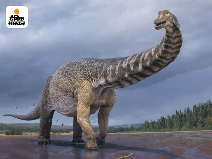 150 million years ago, living dinosaurs had lung infection, evidence ...