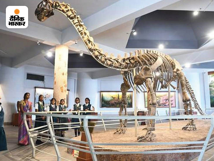 150 million years ago, living dinosaurs had lung infection, evidence ...