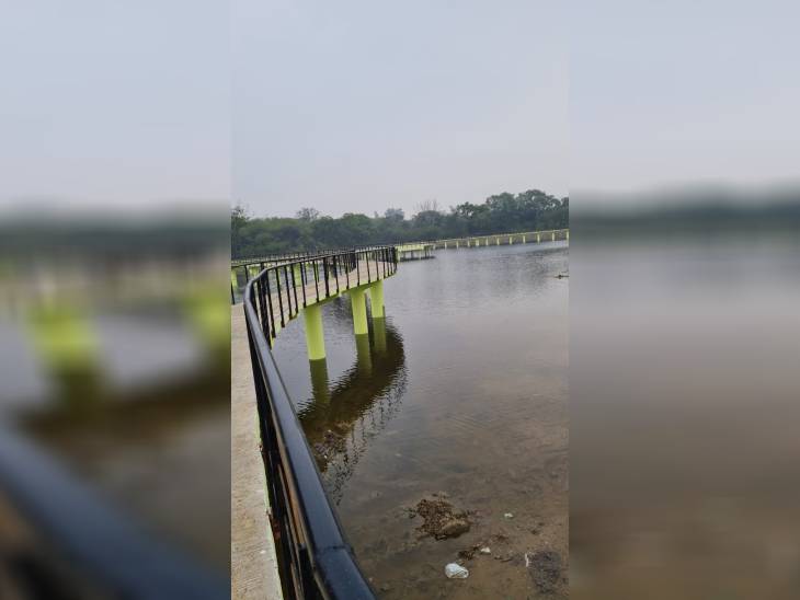 Goa amidst the concrete jungle in Noida Sector-54 dumping yard has been ...