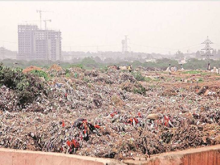 Goa amidst the concrete jungle in Noida Sector-54 dumping yard has been ...
