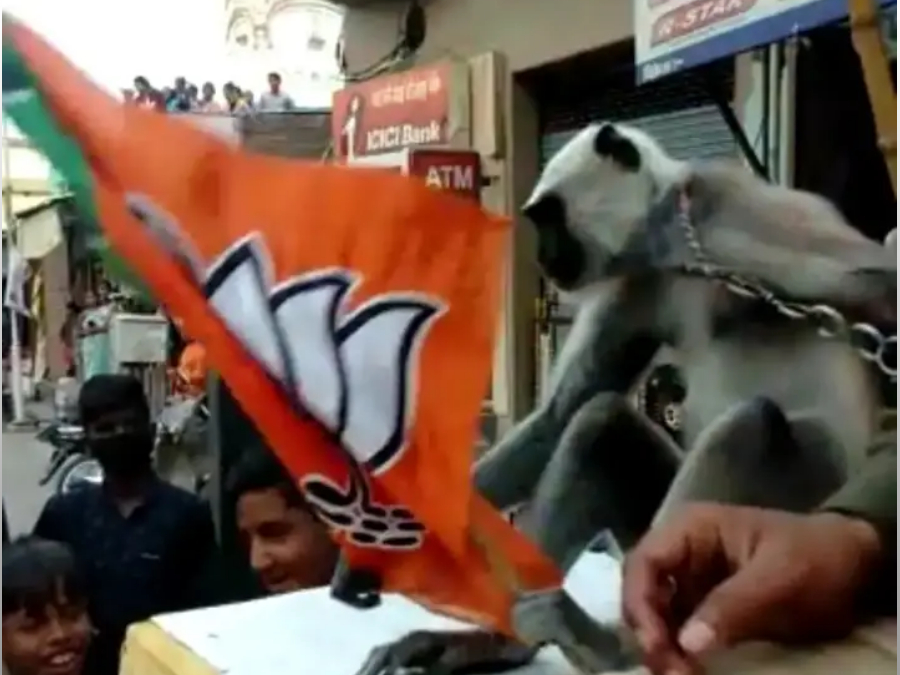 47 stages to welcome Yogi, flowers at four places, arrangement of water ...