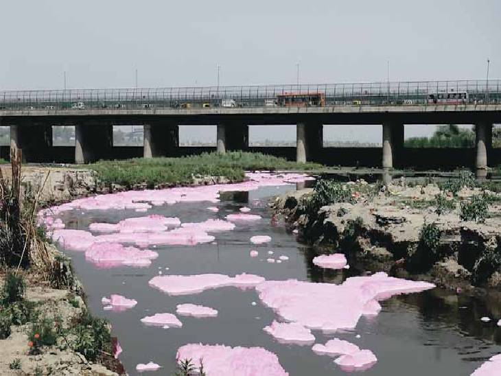 The water coming out of Noida's STP should not be released in Yamuna at ...