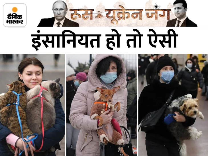 A unique example of animal love amidst human hatred in Ukraine-Russia ...