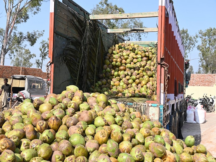 Palwal police caught 6 with ganja Patti worth Rs 1.75 crore, Delhi ...