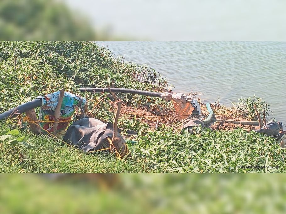 Theft of water by digging a pit in the Parvati river | हो रही पानी की ...