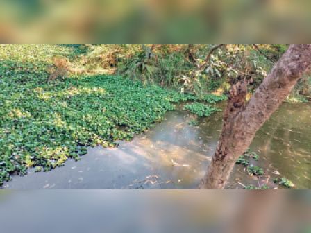 Team from Patna did on-site inspection of Dah river, farmers of 4 ...