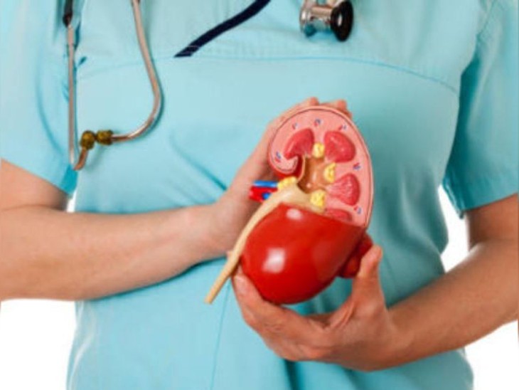 Kidney disease increasing without understanding protein diet and excess ...