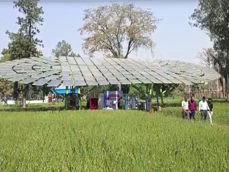 The Mayor inaugurated the largest solar tree in Ludhiana. | दुनिया के ...