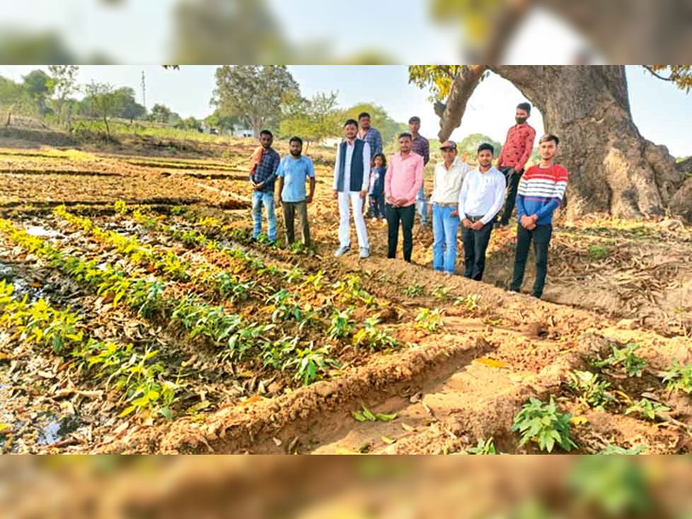 Women harvested barbatti, watermelon, groundnut, pumpkin in 5 acres