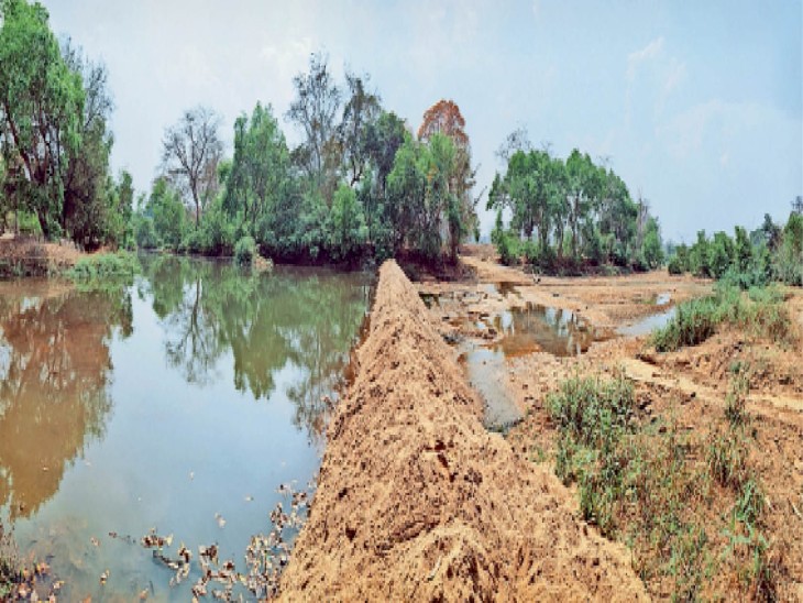 This is not a pond, it is Shivnath river... For sand mining, 8 places ...