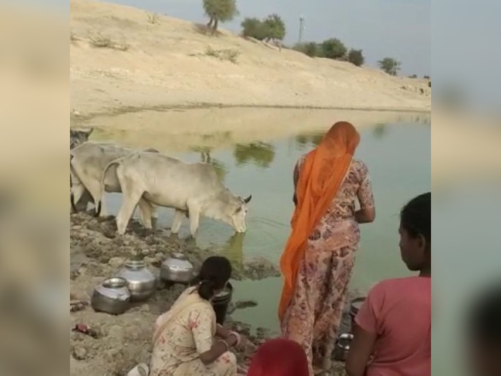 Drinking water crisis in Rohat area in Rajasthan's Pali | गंदा,बदबूदार ...