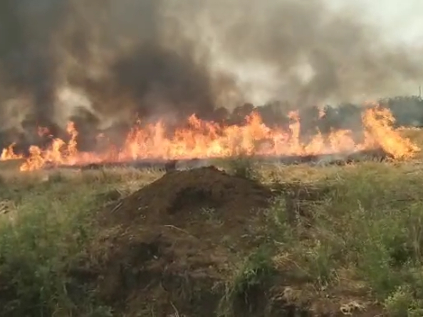 Farmers' standing crops burnt to ashes, villagers engaged in ...