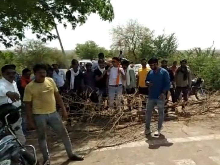 Rajasthan kota,Forest department stopped the patchwork work on the way ...