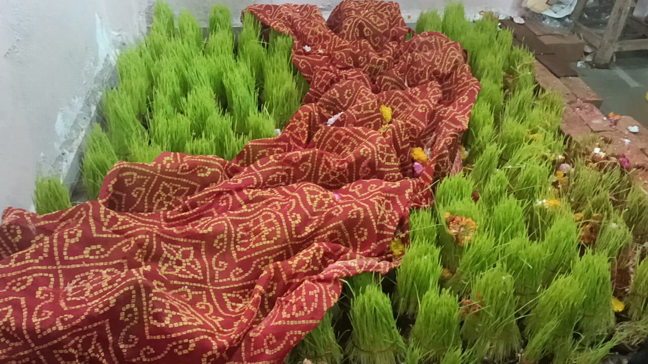 The gates of Gangaur Mata's jaws opened, people gathered for darshan ...