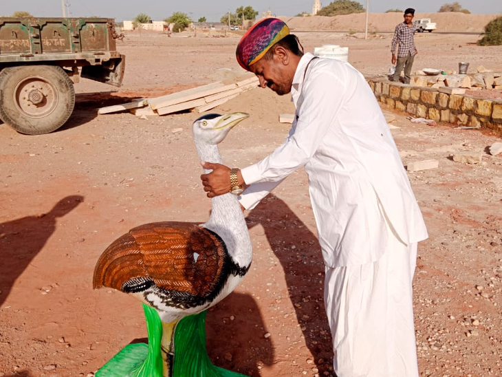 After the death of the state bird after colliding with the high-tension ...