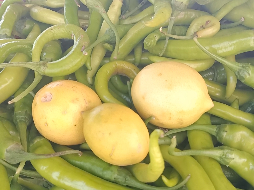 Lemon Mirchi, who saved Jyo from the evil eye, got an evil eye, the ...