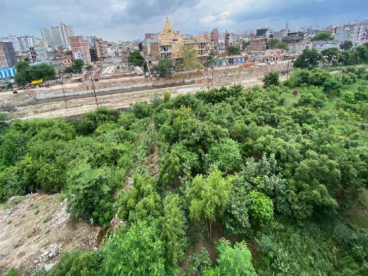 Missing child's body found in Noida forest from Khoda Aunt's boy ...