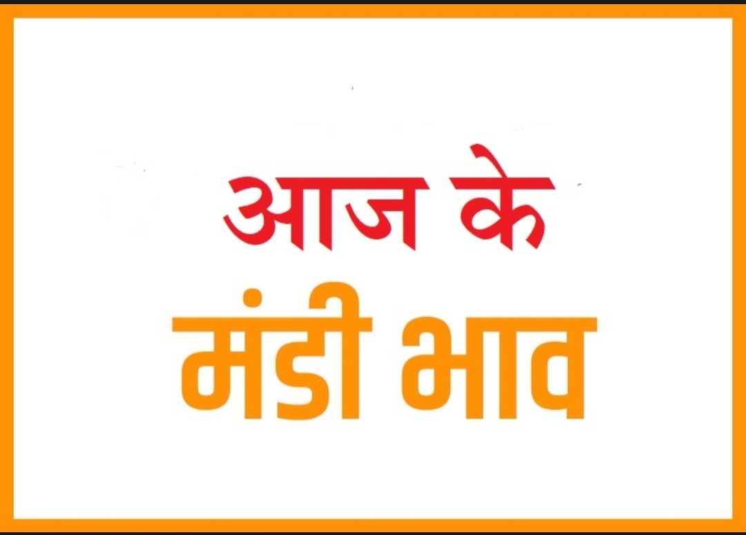 The arrival of Hanuman Jayanti is less in Itarsi Mandi, arrival of 4985 ...