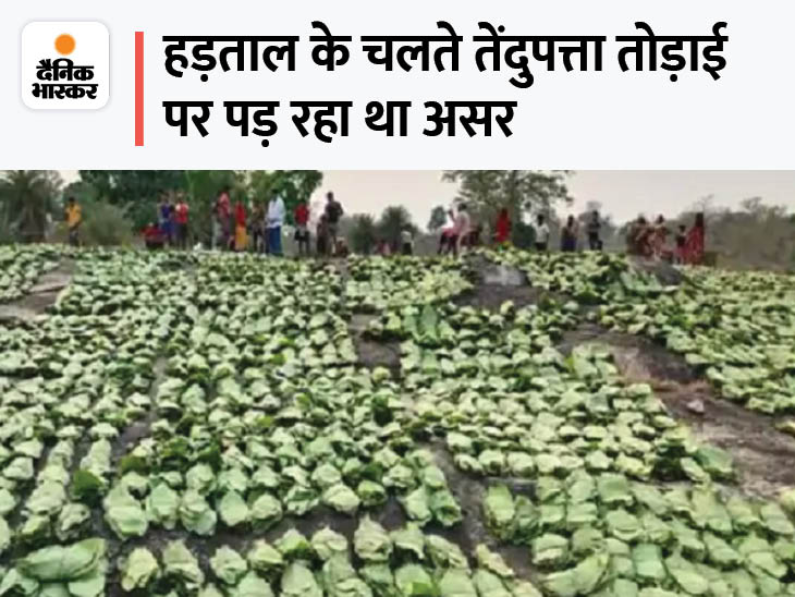 Primary Minor Forest Produce Cooperative Society Managers in ...