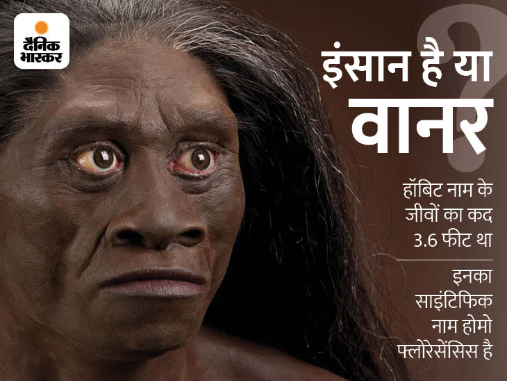 Scientist's claim - creatures like humans, which became extinct 12 ...