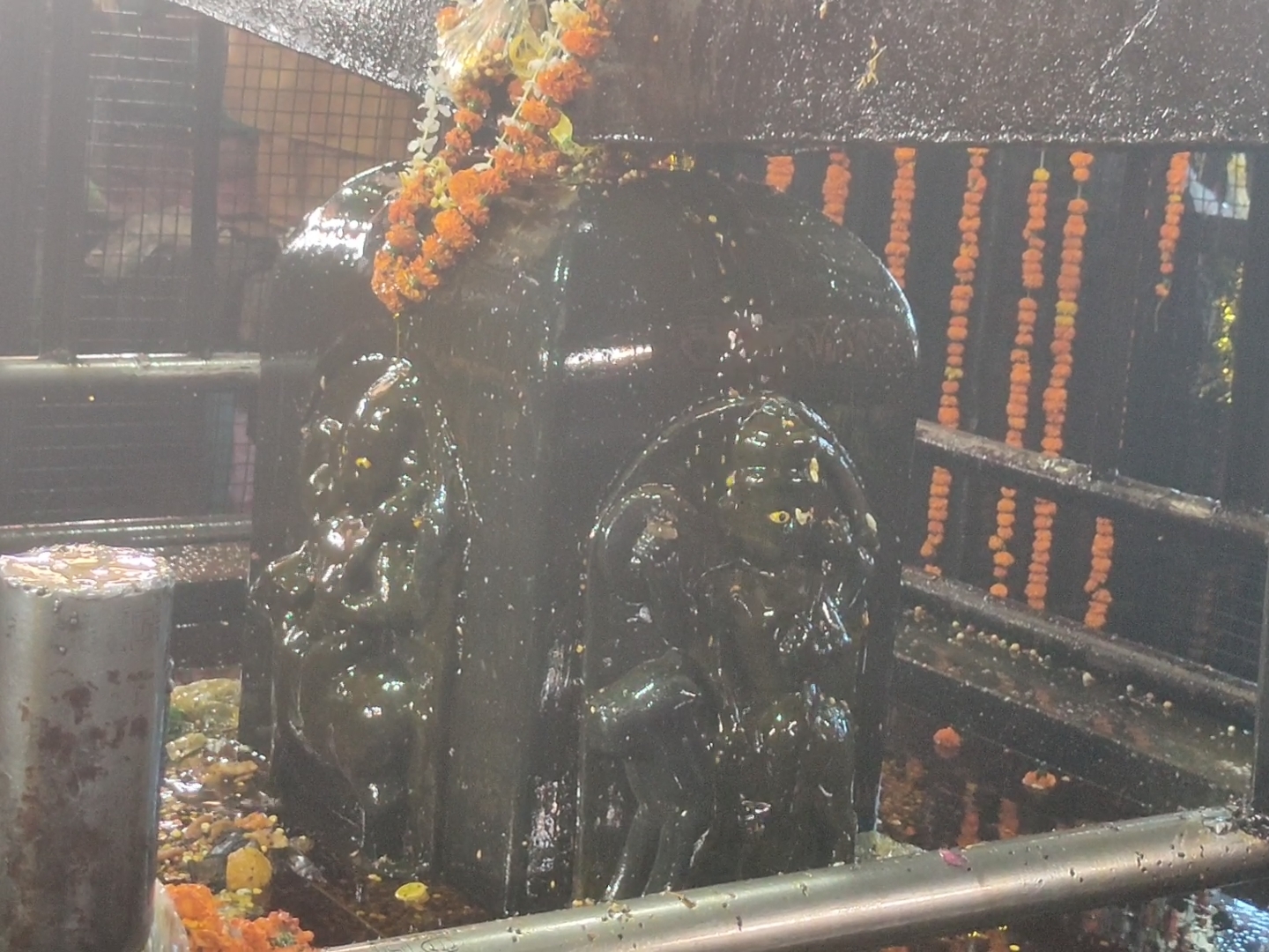 Parikrama in Kokilavan Dham | छाता...शनि अमावस्या पर उमड़ा भक्तों का ...