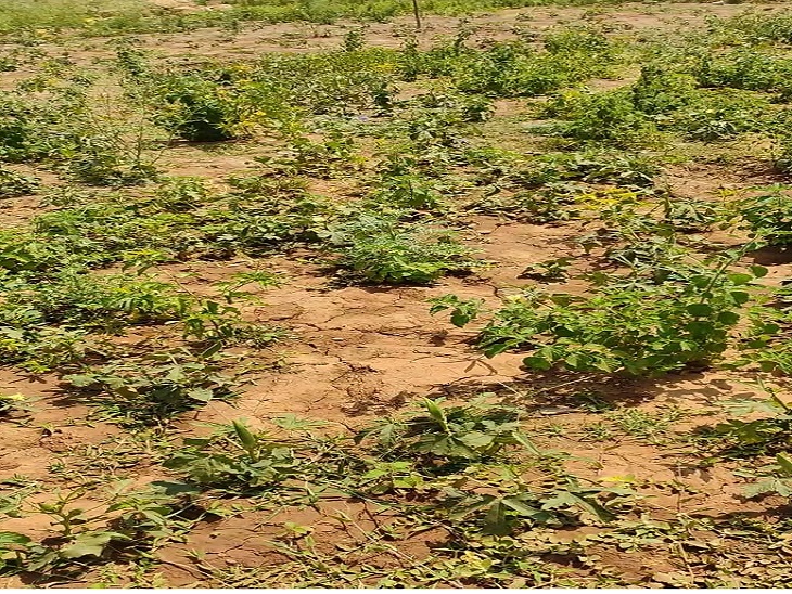 Leaving the hearth, border on the path of becoming an entrepreneur ...