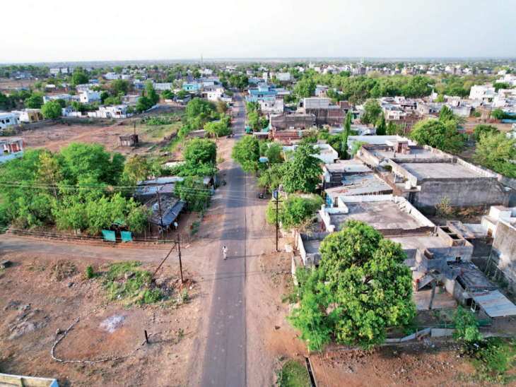 Trees, oxygen and income both increased outside more than 1700 houses ...
