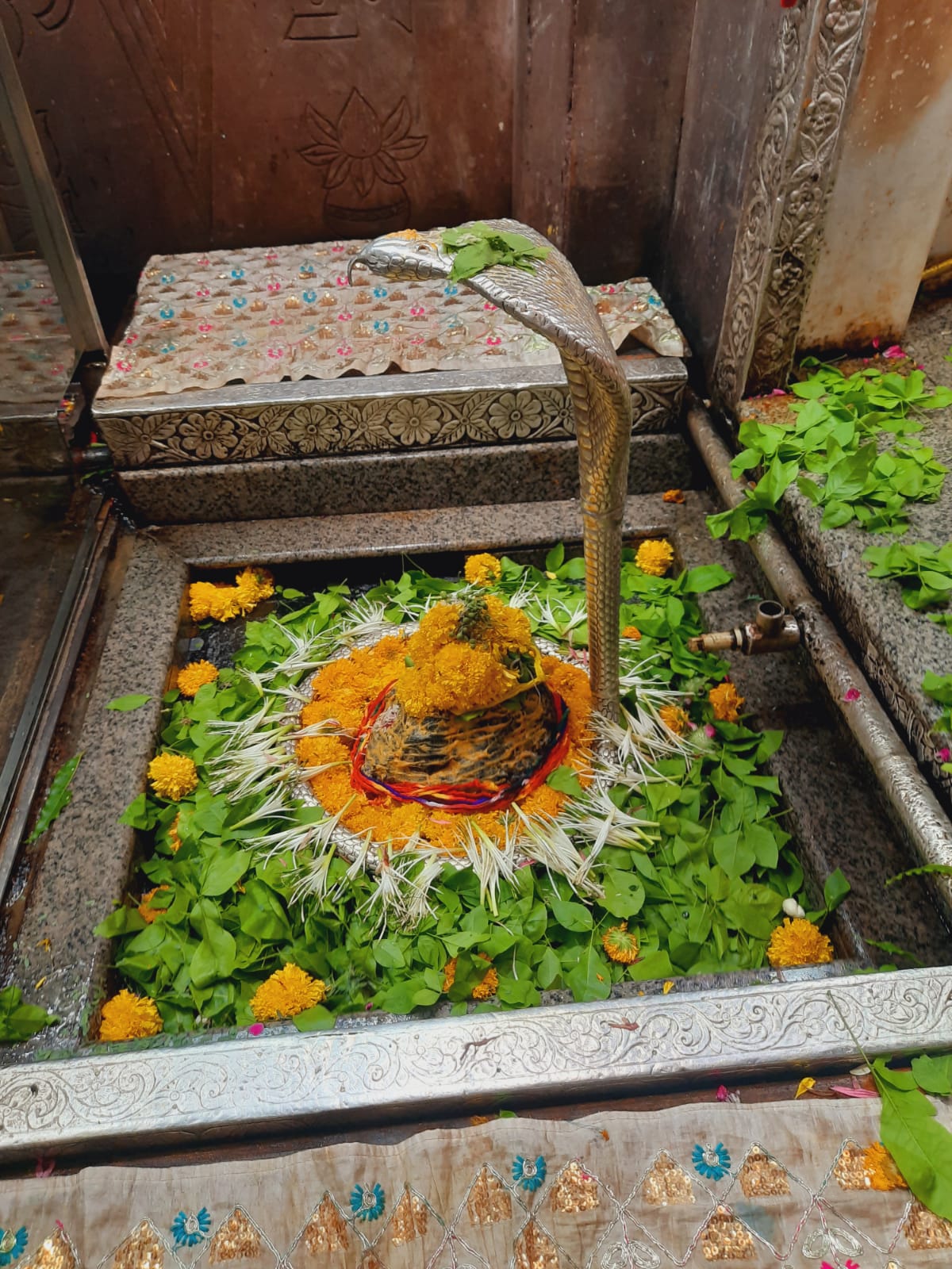 Make up of Omkar Mahadev with flowers and vine leaves, do the darshan ...