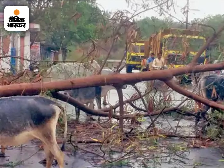 Odisha Cyclone Alert; IMD Rainfall Warning Important Updates and Latest ...