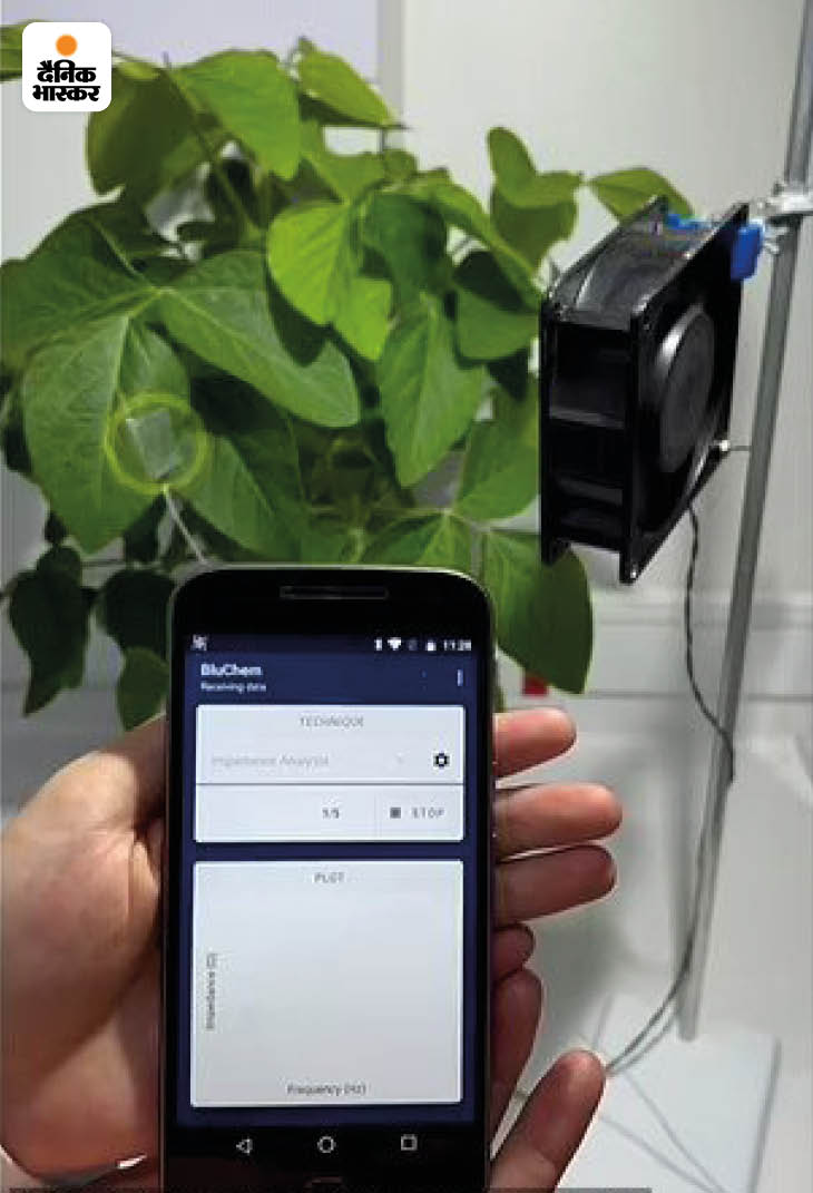 Wearable Plant Sensors | Brazilian Scientists Creates Wearable Sensor ...