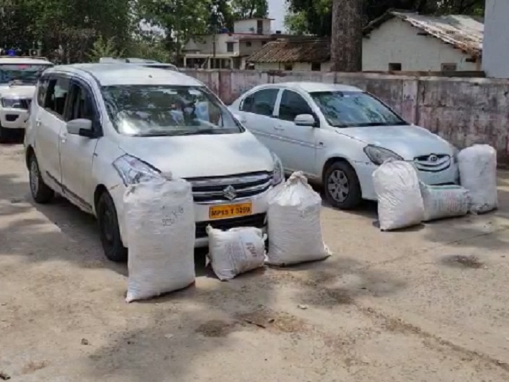 madhya pradesh 4 taskar arrested with 105 kg ganja in chhattisgarh ...