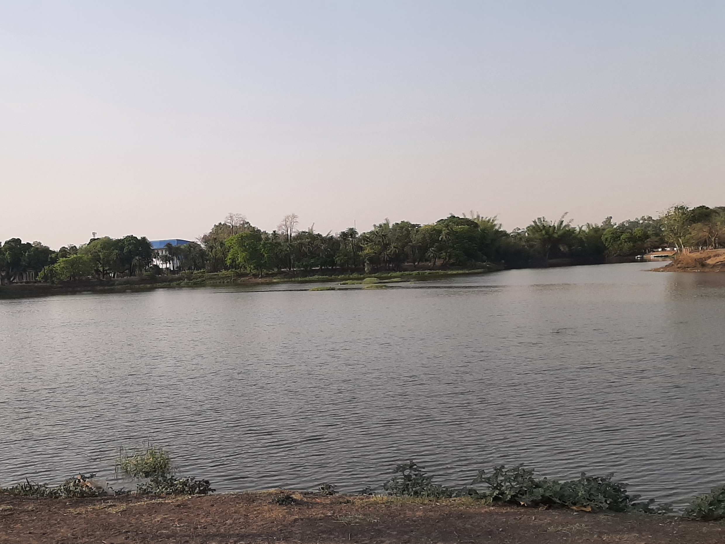 देवास में घट रहा 'मीठा तालाब' का जलस्तर | Water level of 'Sweet Talab ...