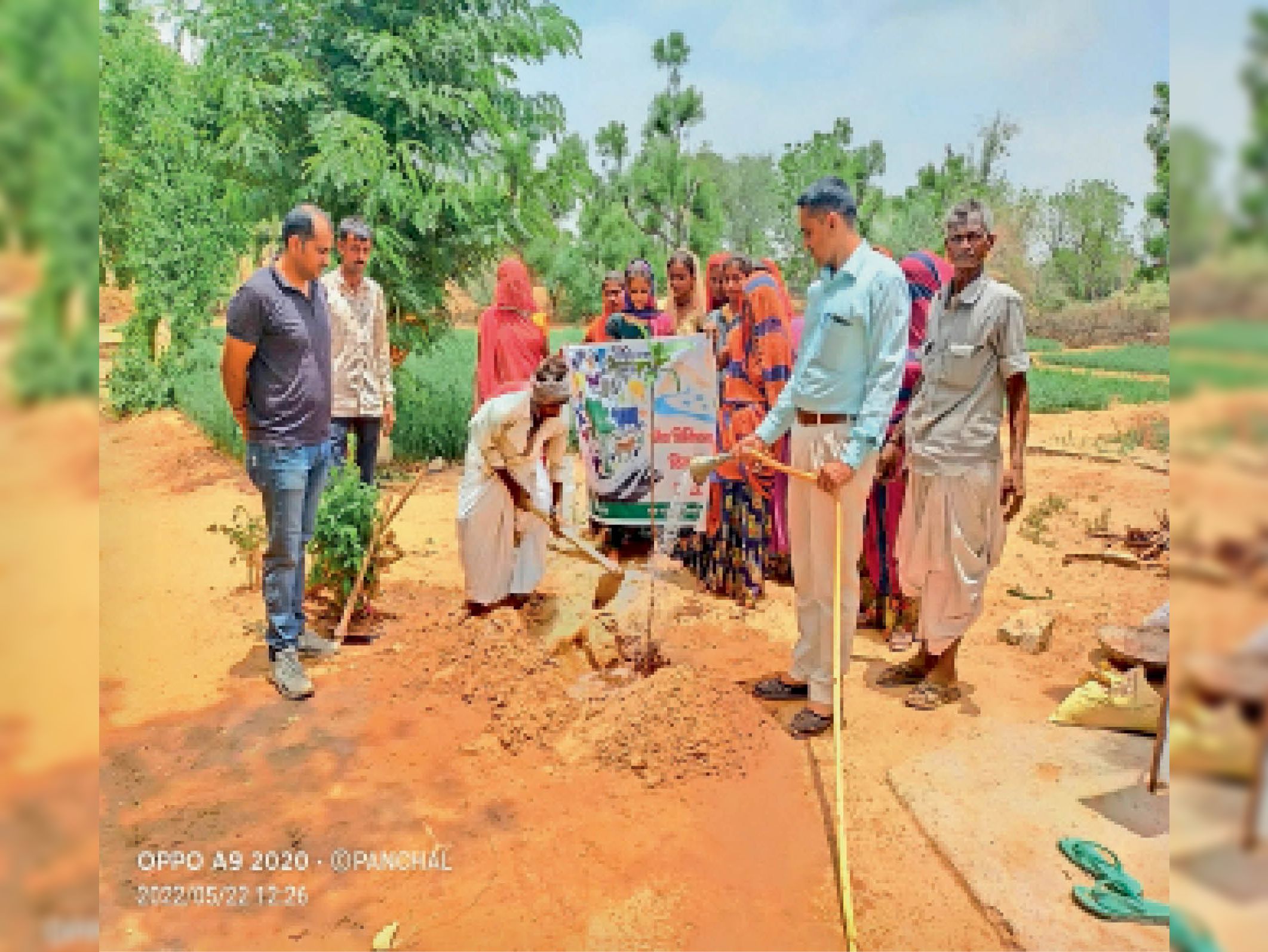 Information given about environmental balance, plantation done in ...