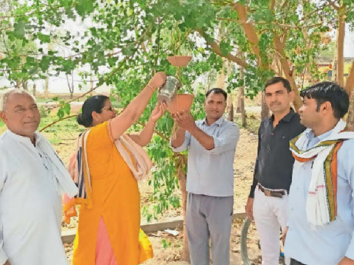 Subhash Sharma has maintained the legacy of nurturing living beings ...