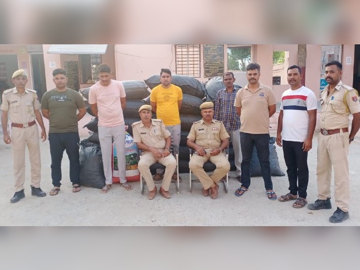 Drugs worth lakhs found in a damaged vehicle in Rajasthan's Pali ...
