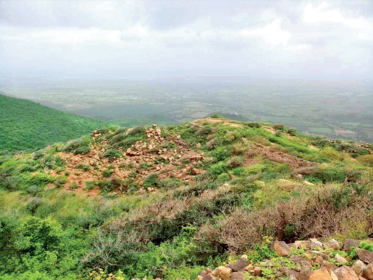 The roar of lions will also resonate in Gujarat's 'Barda Dungar ...